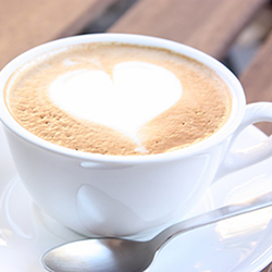 ABOUT US – Cafe&Bar poco rit. ポコリット