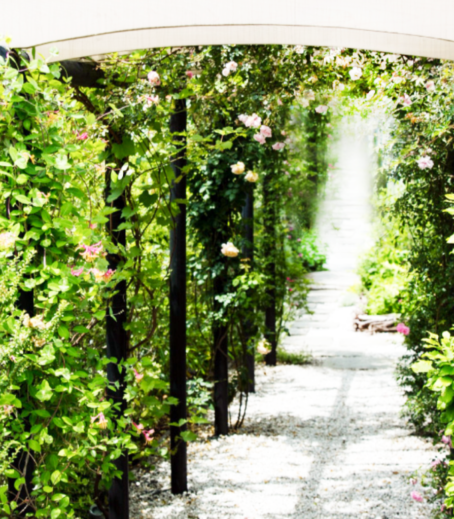 Garden photo – Cafe&Bar poco rit. ポコリット